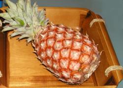 Ananas a jeho pěstování - InMagazin.cz