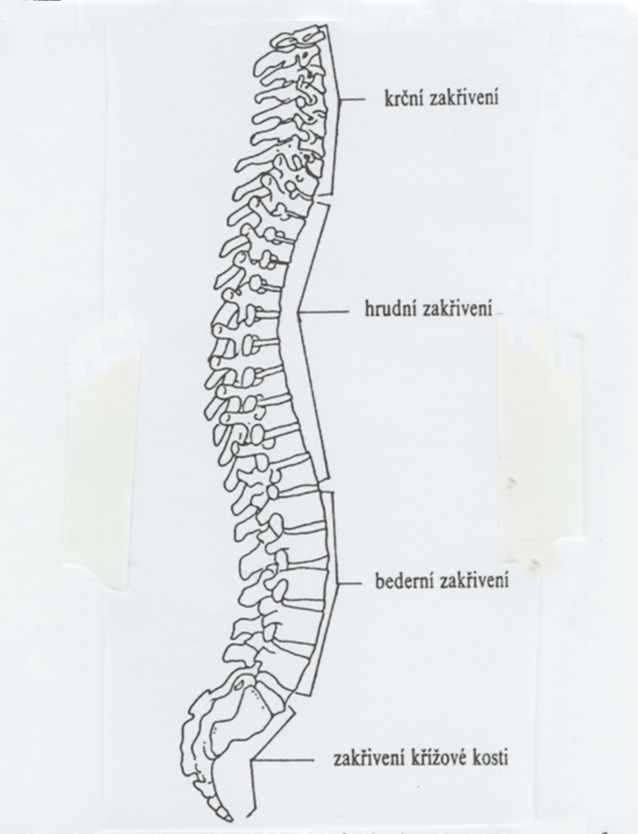 Sedíte zdravě? - zamyšlení od JakBydlet.cz